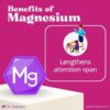 101 Benefits of Magnesium: Empowering Your Child's Brain Health and Beyond