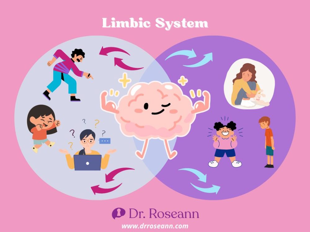 How to Calm Your Limbic System: What it is, Therapies, and More | Dr. Roseann