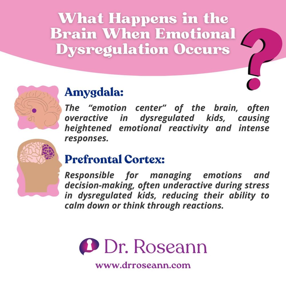 Understanding Emotional Dysergulation in Kids | Dr. Roseann