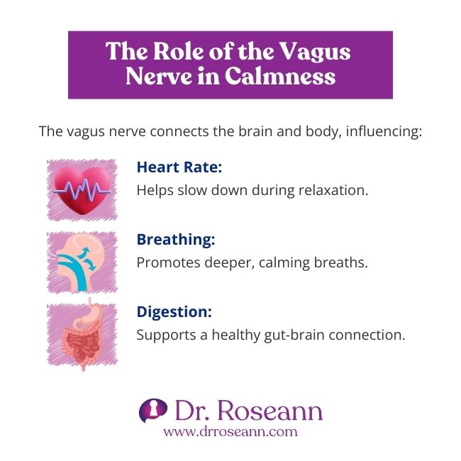 Nervous System Imbalance:: Tips to Support Emotions | Dr. Roseann