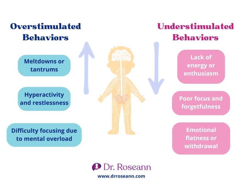 Overstimulated and Understimulated Nervous Systems | Dr. Roseann
