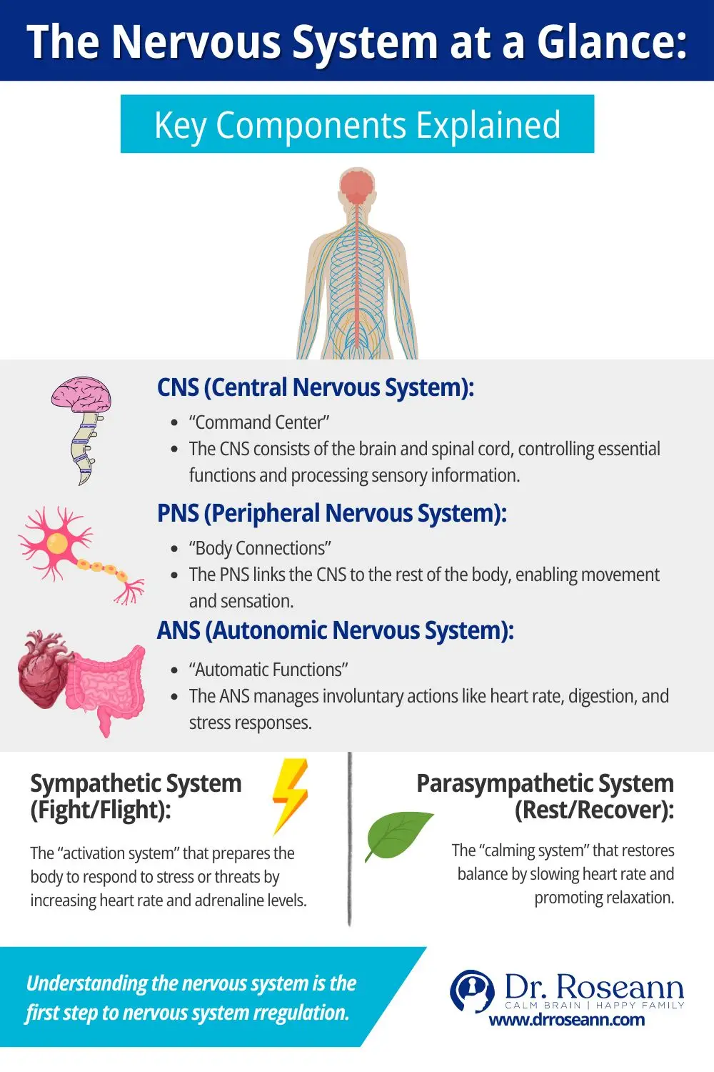 How to Regulate Nervous System Without Medication