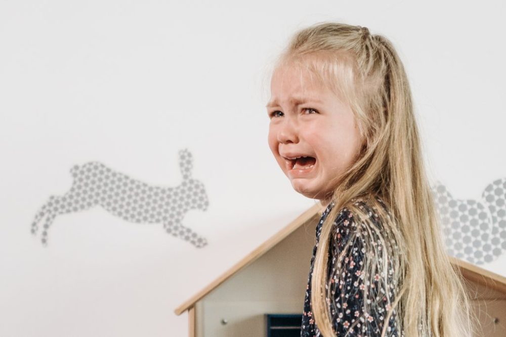 Age Appropriate Behavior Explained: Why Your Child Isn’t Just Being ...